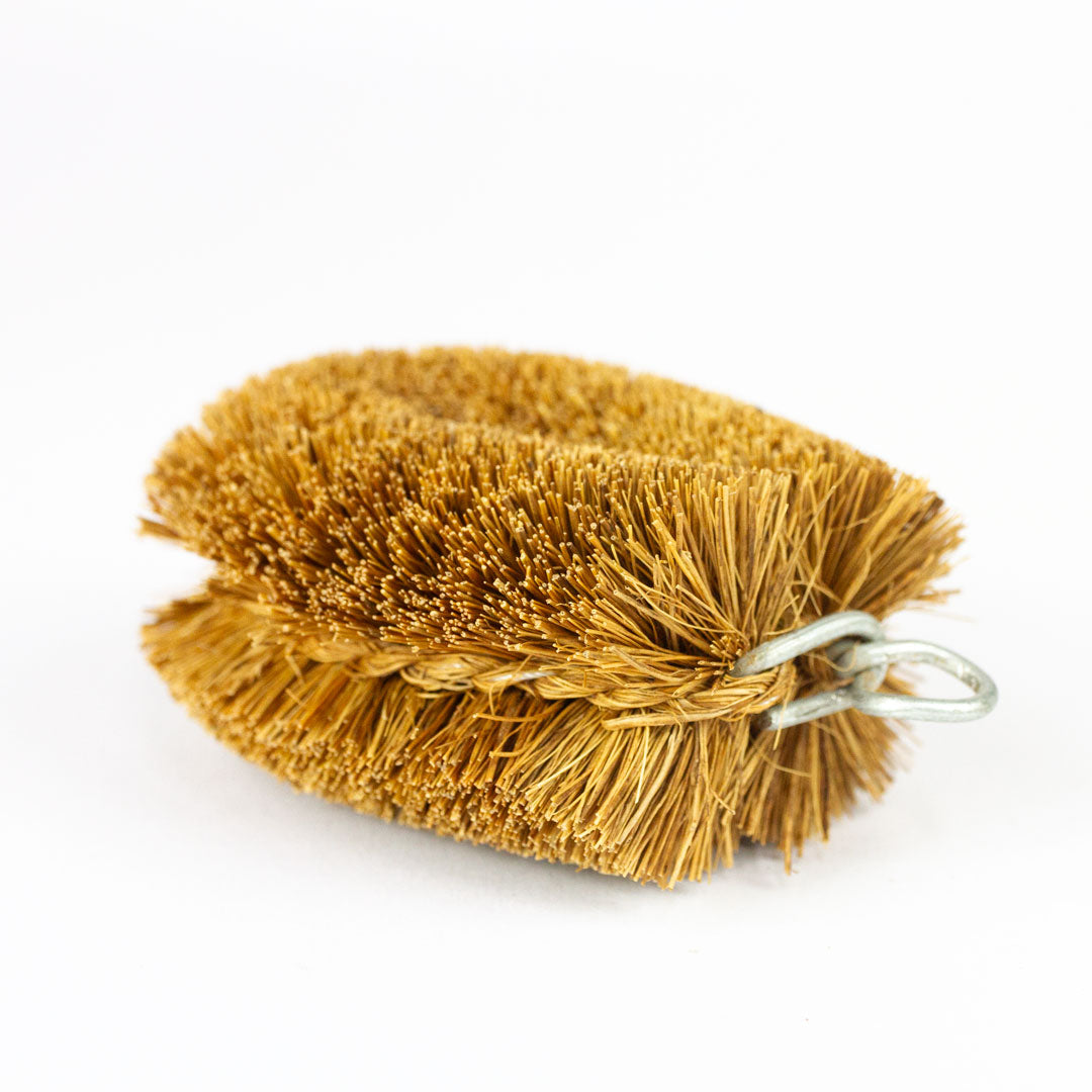 Kamenoko Tawashi Natural Palm Turtle Brush– Purematcha Australia